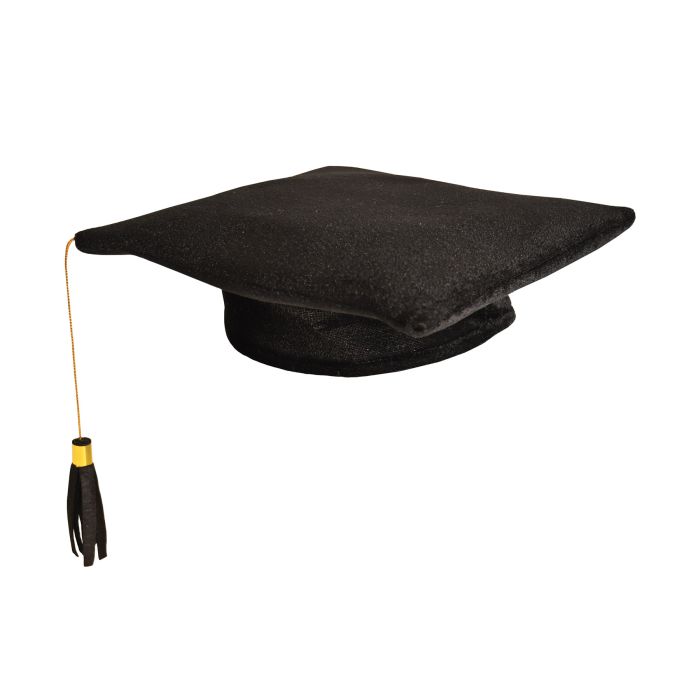 Plush Graduate Cap 10", (1/Card) - Dakota Party